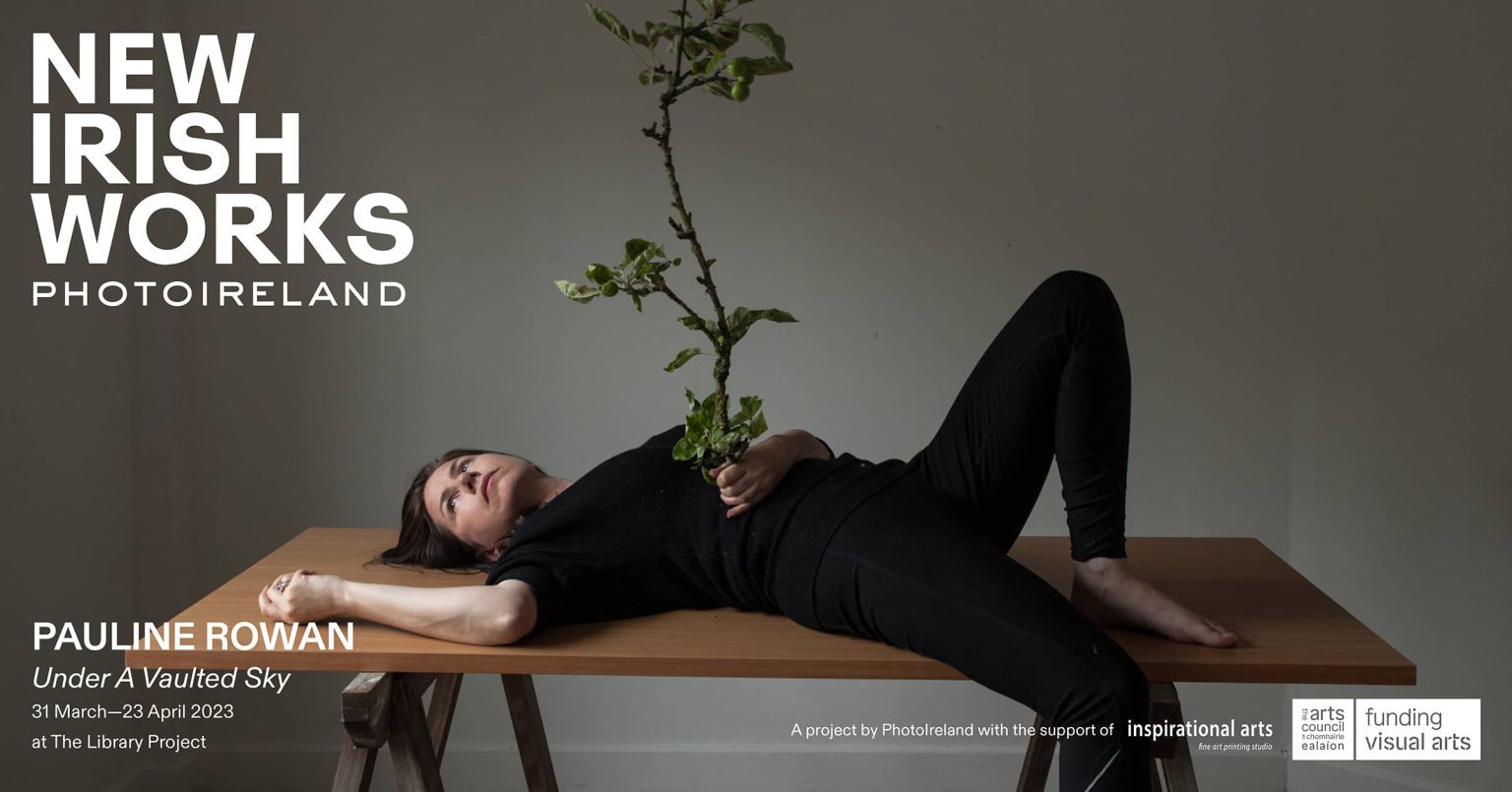 New Irish Works: Pauline Rowan at The Library Project - PhotoIreland